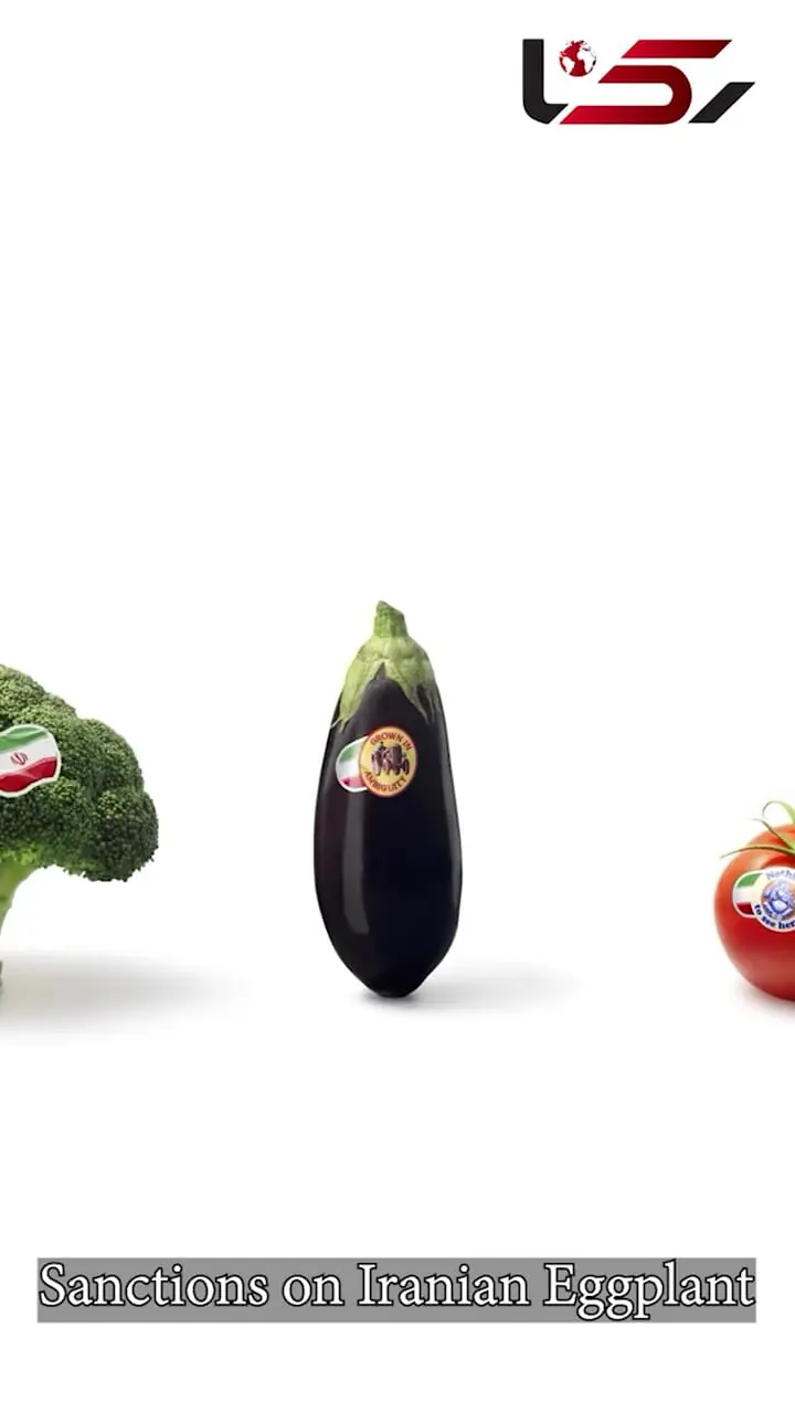 Iranian Eggplants Also Sanctioned! Why Are the West Afraid of Both ...